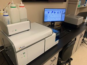 Cellular Exercise Physiology Laboratory (CEPL) - Division of Kinesiology