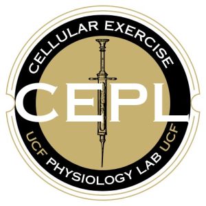 Cellular Exercise Physiology Laboratory (CEPL) - Division of Kinesiology