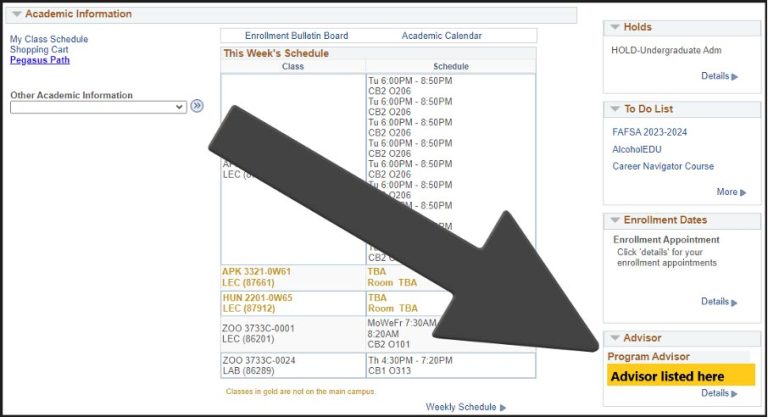 Academic Advising - Division of Kinesiology