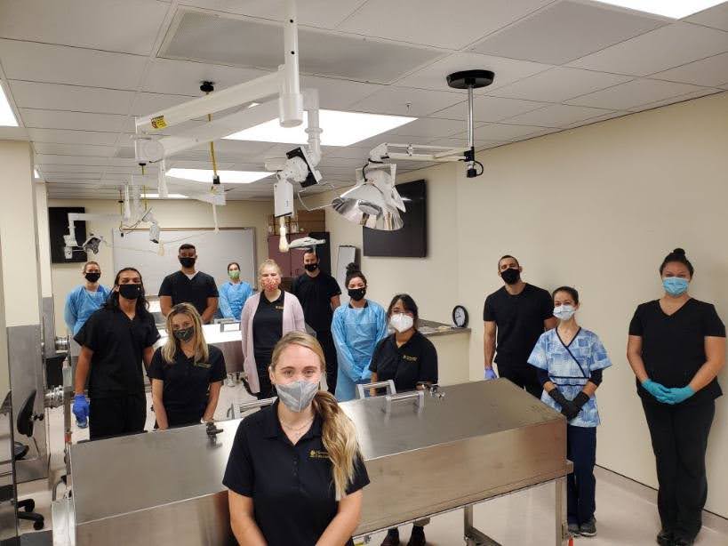 CSD Grad Students and DPT Students Team Up To Expand Learning in ...